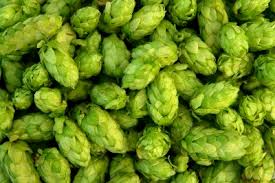 Whole Cone Leaf Hops 1 oz | BrewShop